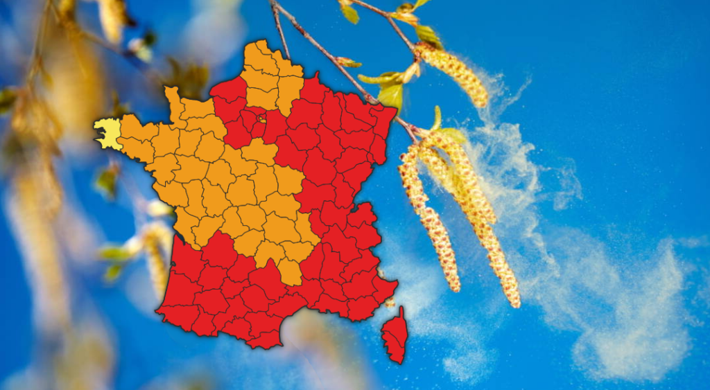 Pollens en avance : déjà de forts risques allergiques ! - Météo Express