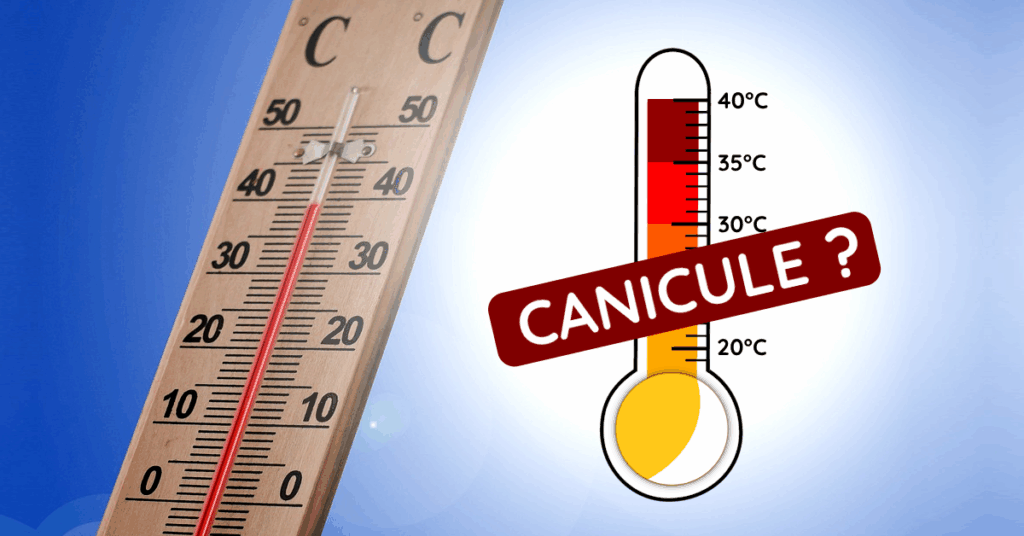 Quelle est la (vraie) définition d'une canicule en France ? - Météo Express